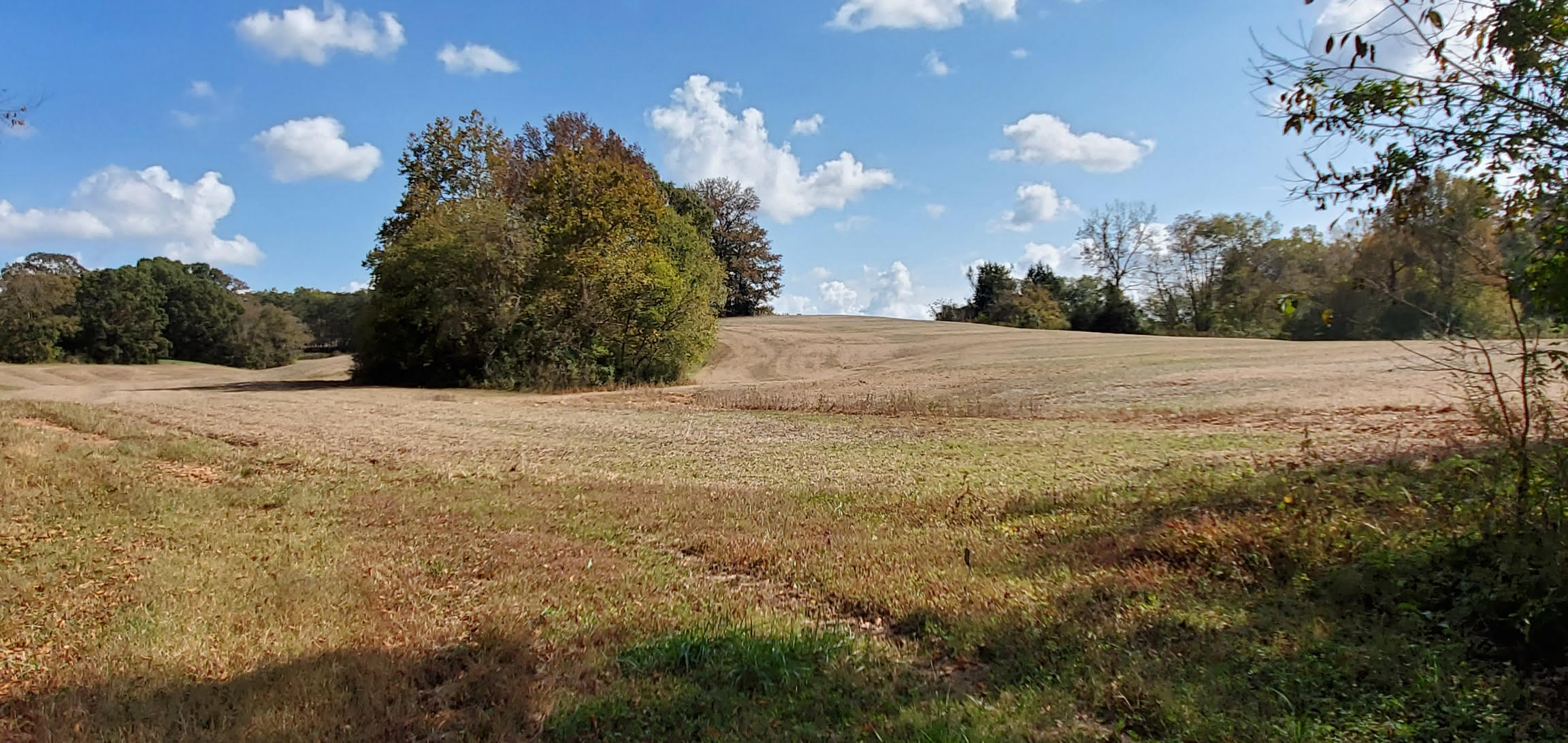 Revolutionary shift: Messick farm property officially becomes Shallow ...