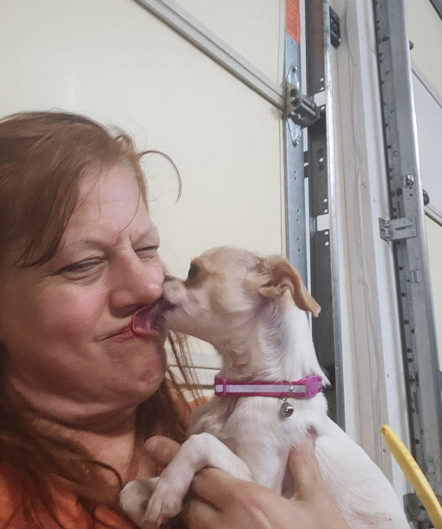 Community effort brings lost dog home | clemmonscourier